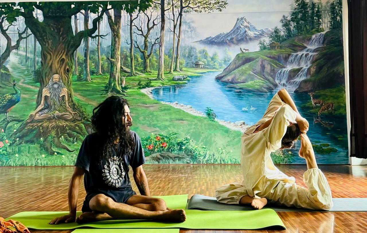 Ashtanga Vinyasa Yoga vs. Hatha Yoga: Understanding the Differences ...